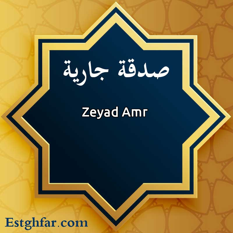 Zeyad Amr